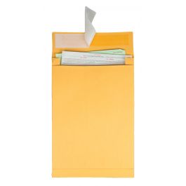 10 x 13 x 2 Expansion Envelope with Self Seal Closure for Bulky Mailing ...